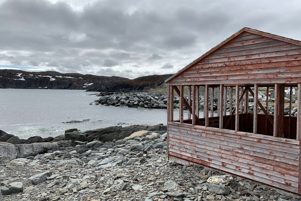 Newfoundland Part 1- Icebergs, moose and Vikings in the fog | Lost in ...