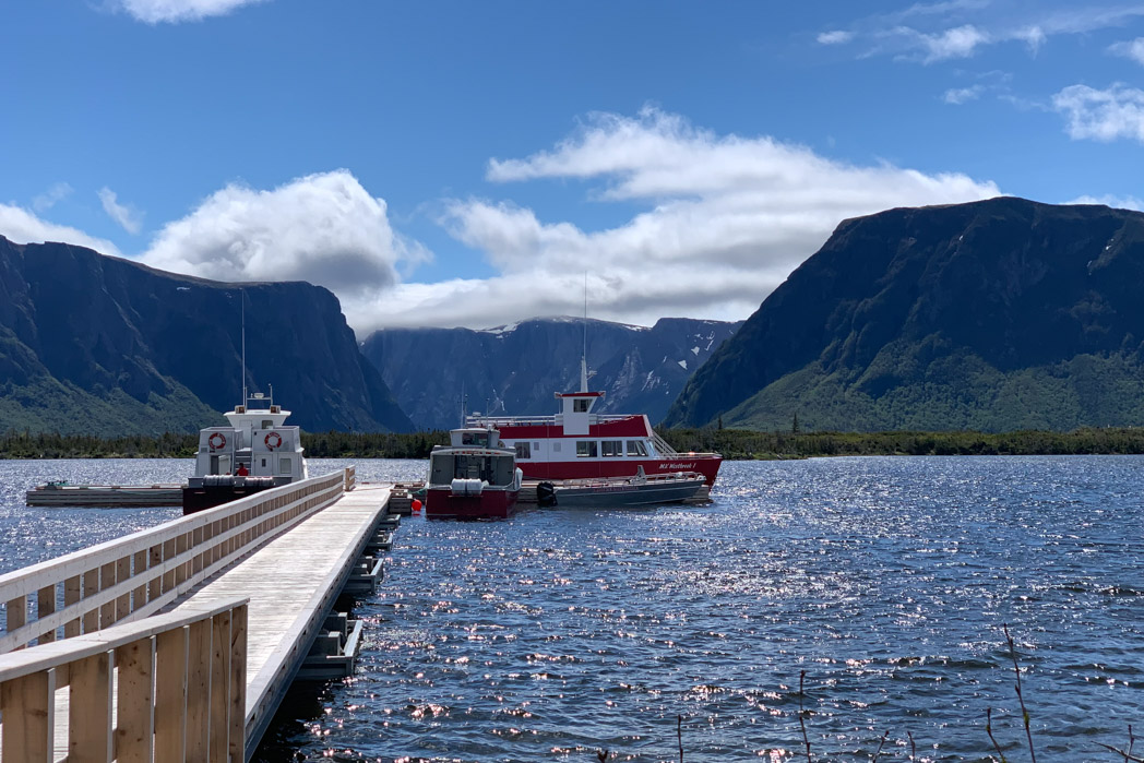 Newfoundland Part 2 - A pissing horse, a fiery sky and the insides of ...
