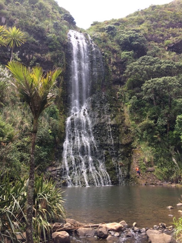 More pictures from north of Auckland | Lost in the Wanderness