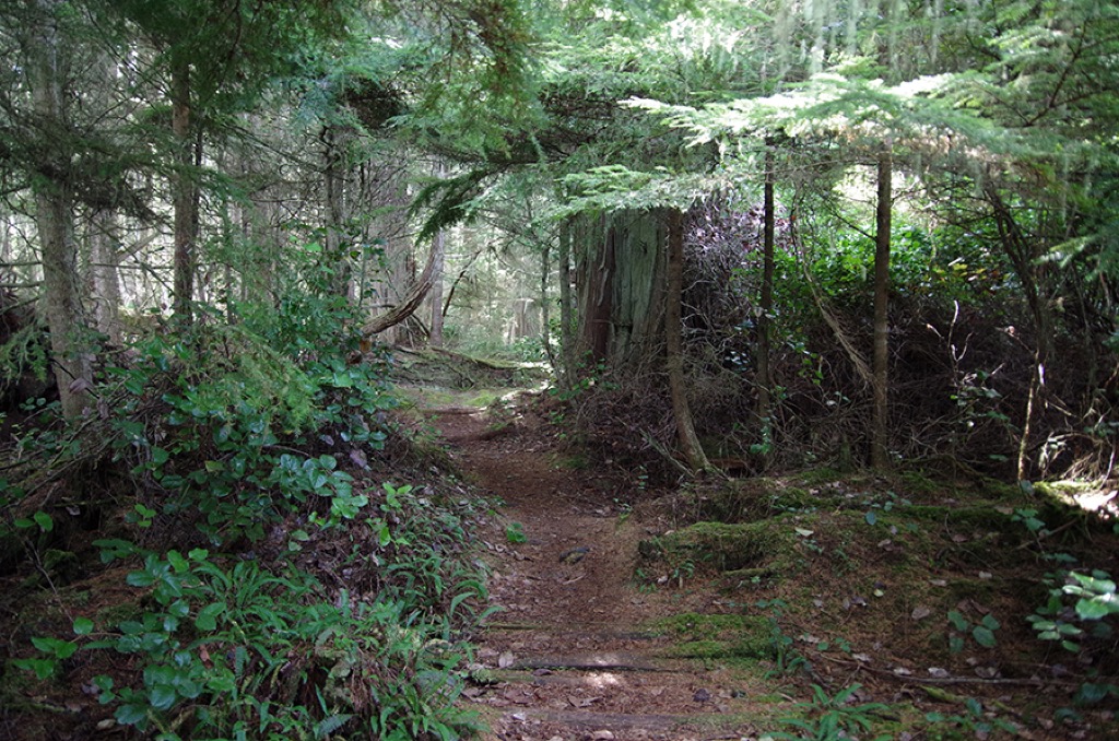 Bere Point trail & Mitchell Bay beach | Lost in the Wanderness