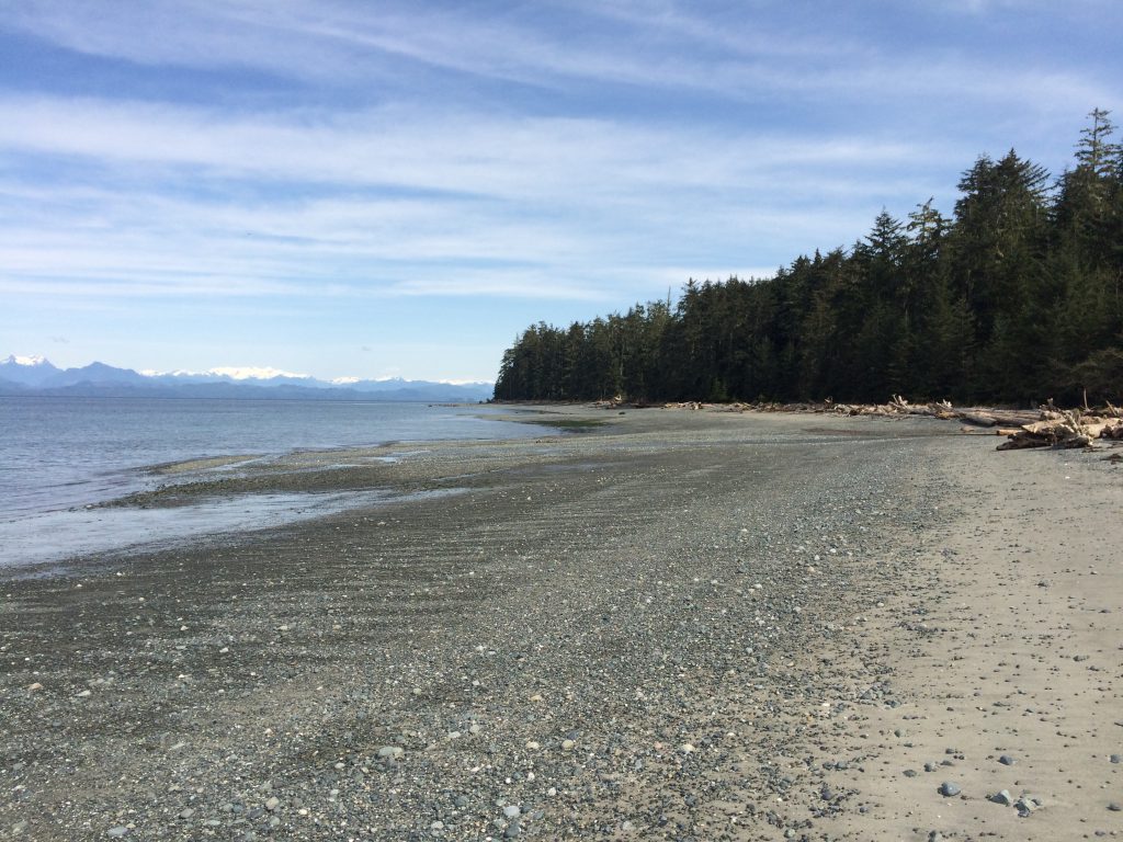 Exploring Malcolm Island Archives | Lost in the Wanderness