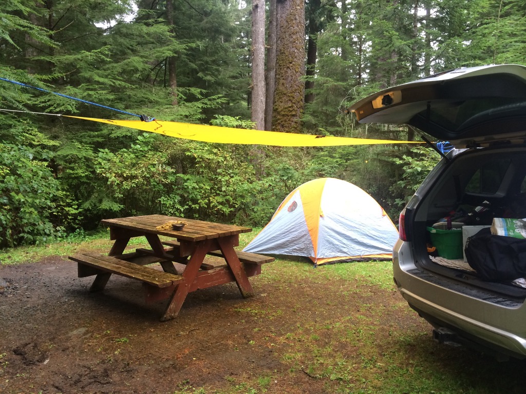 Wait a second . . . there are bugs here? | Lost in the Wanderness