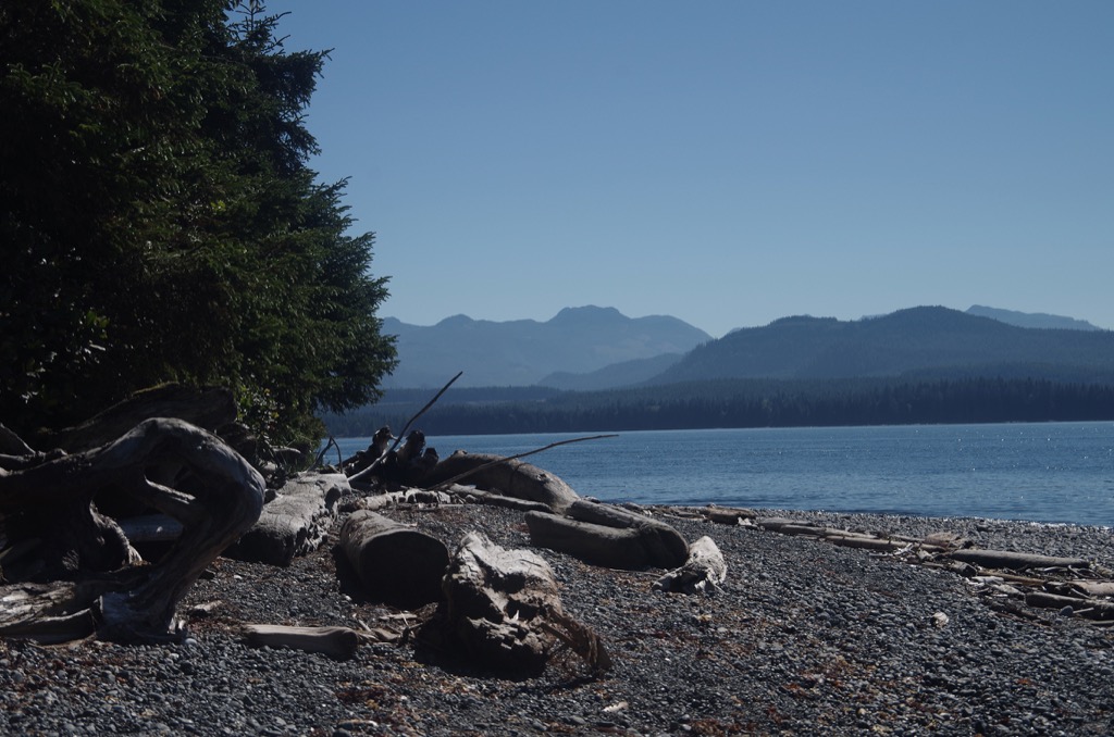 Pulteney point lighthouse trail | Lost in the Wanderness