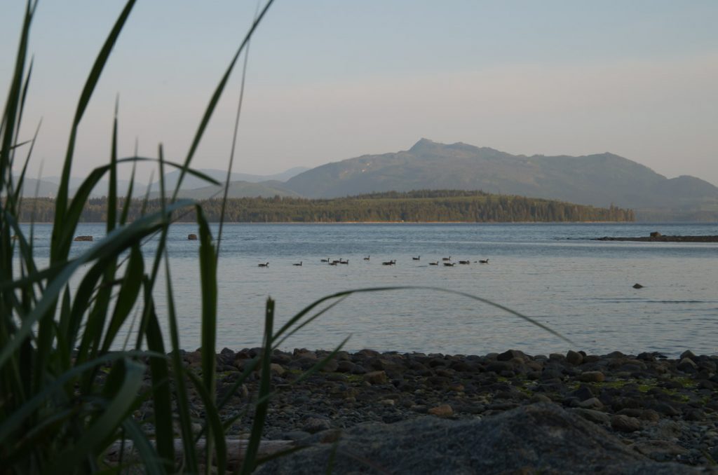 Just an evening wander around Malcolm Island | Lost in the Wanderness